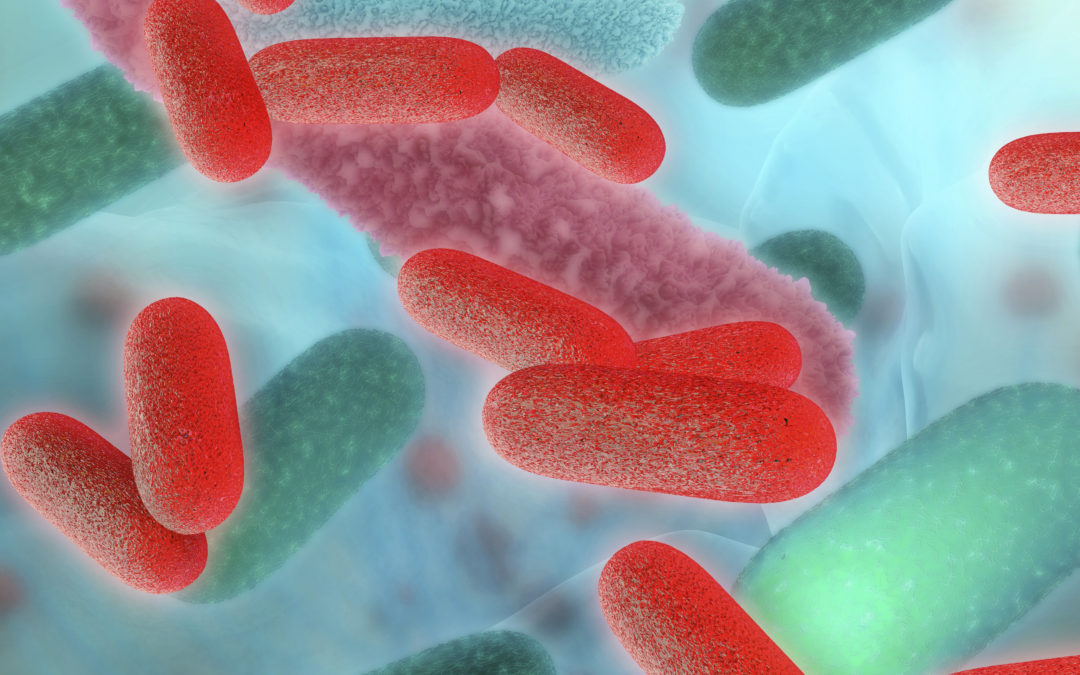 9 Must Know Facts about Legionaire's Disease - ACE Consultants